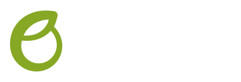 Panere – Din dragoste de vară